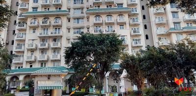 DLF Richmond Park in Sector 43, Gurgaon - Price, Reviews & Floor Plan