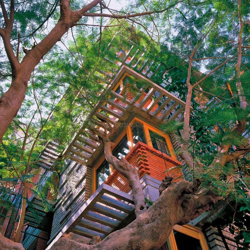 Total Environment The Magic Faraway Tree in Kanakapura Road, Bangalore ...