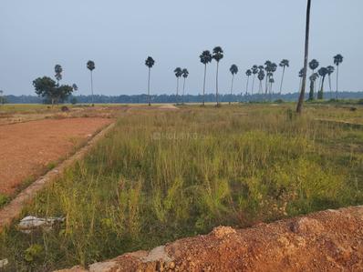 Swarna Modern Village Location Map Pipili, Puri