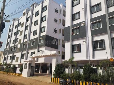 Hallmark Maple Tree A Photos & Videos Puppalaguda, Hyderabad