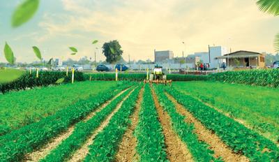 Kaushal Real SRK Organic Farms in Hinotiya, Bhopal - Price, Reviews ...