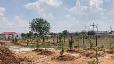 Subhodaya Nandanavanam Farm Plots in Kothur, Hyderabad - Price, Reviews ...