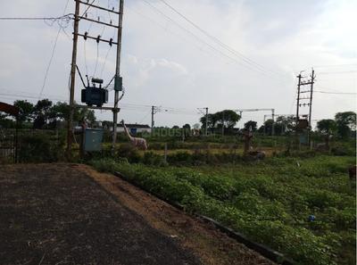 Maa Rajeshwari Malpani Nagar Location Map Kareli, Narsinghpur