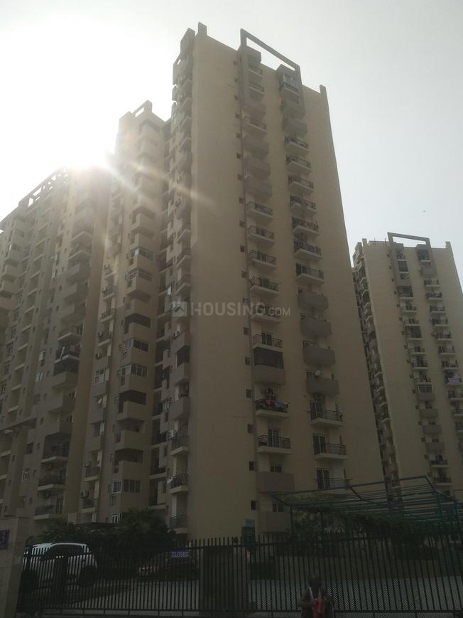 Paramount Tulip in Sector 137, Noida-Greater Noida Expressway - Price ...