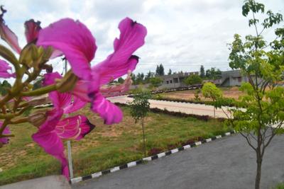 Property in Hosur, Tamil Nadu | 710+ Flats/Apartments, Houses for Sale ...