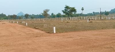 1350 Sqft Agricultural Land for Sale in Amangal, | Property ID - 10922702