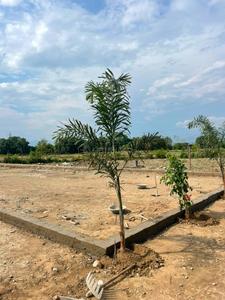 Residential 1350 Sqft Plot for sale at Selakui, Dehradun | Property ID ...