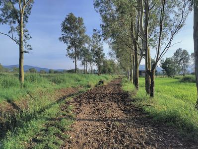 Agricultural Land in Pune, Maharashtra | | 47+ Agricultural & Farm Land ...