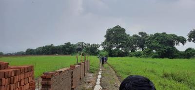 Residential 8093 Sqft Plot for sale at Sabour, Bhagalpur | Property ID ...
