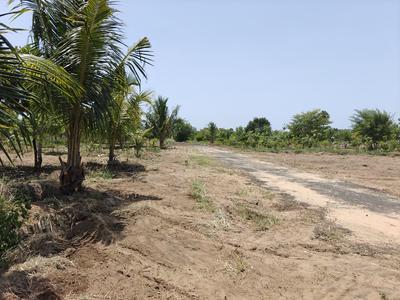 Residential 2352 Sqft Plot for sale at Padalam, | Property ID - 18614392