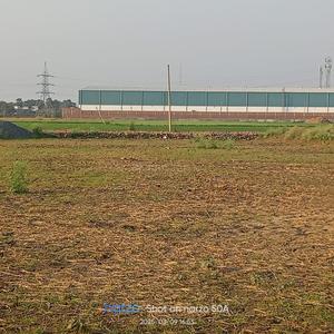 Residential 1200 Sqft Plot for sale at Fatwah, Patna | Property ID ...