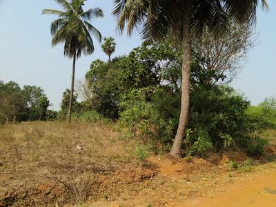 Thiruporur, Chennai | Thiruporur Map, Pros & Cons, Photos, Reviews and ...