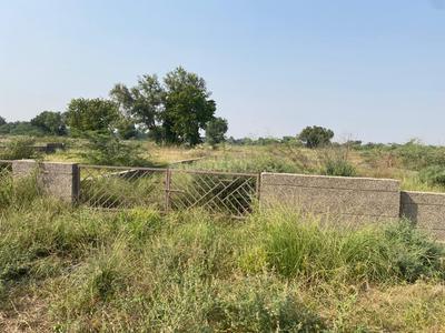 Residential 517 Sqft Plot for sale at Bavla, Ahmedabad | Property ID ...