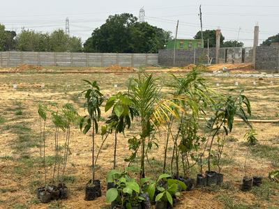 Residential 1500 Sqft Plot for sale at Maltoli, | Property ID - 14840890