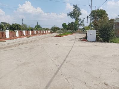 Residential 800 Sqft Plot for sale at Rau, Indore | Property ID - 12104640