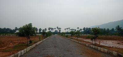 Residential 1000 Sqft Plot for sale at Atchutapuram, | Property ID ...