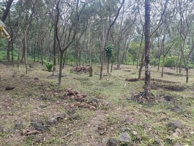 Residential 2144 Sqft Plot for sale at Karuvanchal, Kannur | Property ...