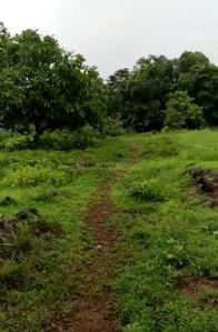 Buy Residential Plots for sale in North Goa, Goa | 522+ Lands for sale ...