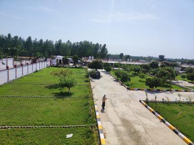 Residential 600 Sqft Plot for sale at Bihta, Patna | Property ID - 14238114