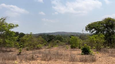 Agricultural Land in Mangor Hill, Goa | Agricultural & Farm Land for ...