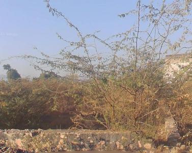 Residential 2750 Sqft Plot for sale at Sumel, Jaipur | Property ID ...