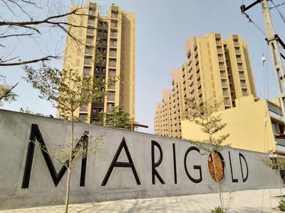 1376 Sqft 3 BHK Flat for sale in Gala Marigold | South Bopal, Ahmedabad ...