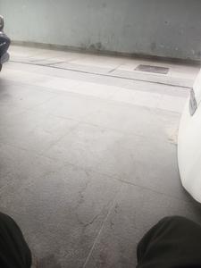 1 BHK Independent Floor for rent in Hallo Majra, - 150 Sqft | Property ...
