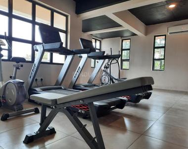 2 BHK Flat for rent in Vyttila, - 850 Sqft | Property ID - 17261186 ...