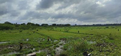 Seven Maha Nagar in Mudichur, Chennai - Price, Reviews & Floor Plan