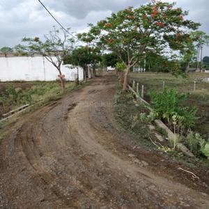 Balaji Narmada Nagar Extension Location Map Kareli, Narsinghpur