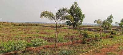 Krishna Vatika Location Map Phulnakhara, Bhubaneswar