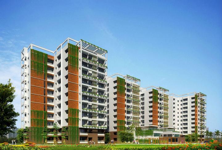 Golden Bhuvana Greens in Kasavanahalli, Bangalore - Price, Reviews ...