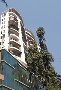 Green Court in Andheri West, Mumbai - Price, Reviews & Floor Plan