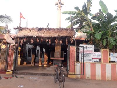 Alpine Pyramid in Sahakara Nagar, North Bangalore - Price, Reviews ...